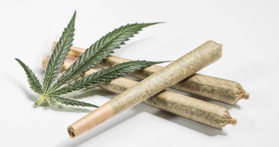 KYND Cannabis Company: Original Glue (GG4) Pre-Roll 1g | Leafly KYND Cannabis Company: Original Glue (GG4) Pre-Roll 1g | Leafly